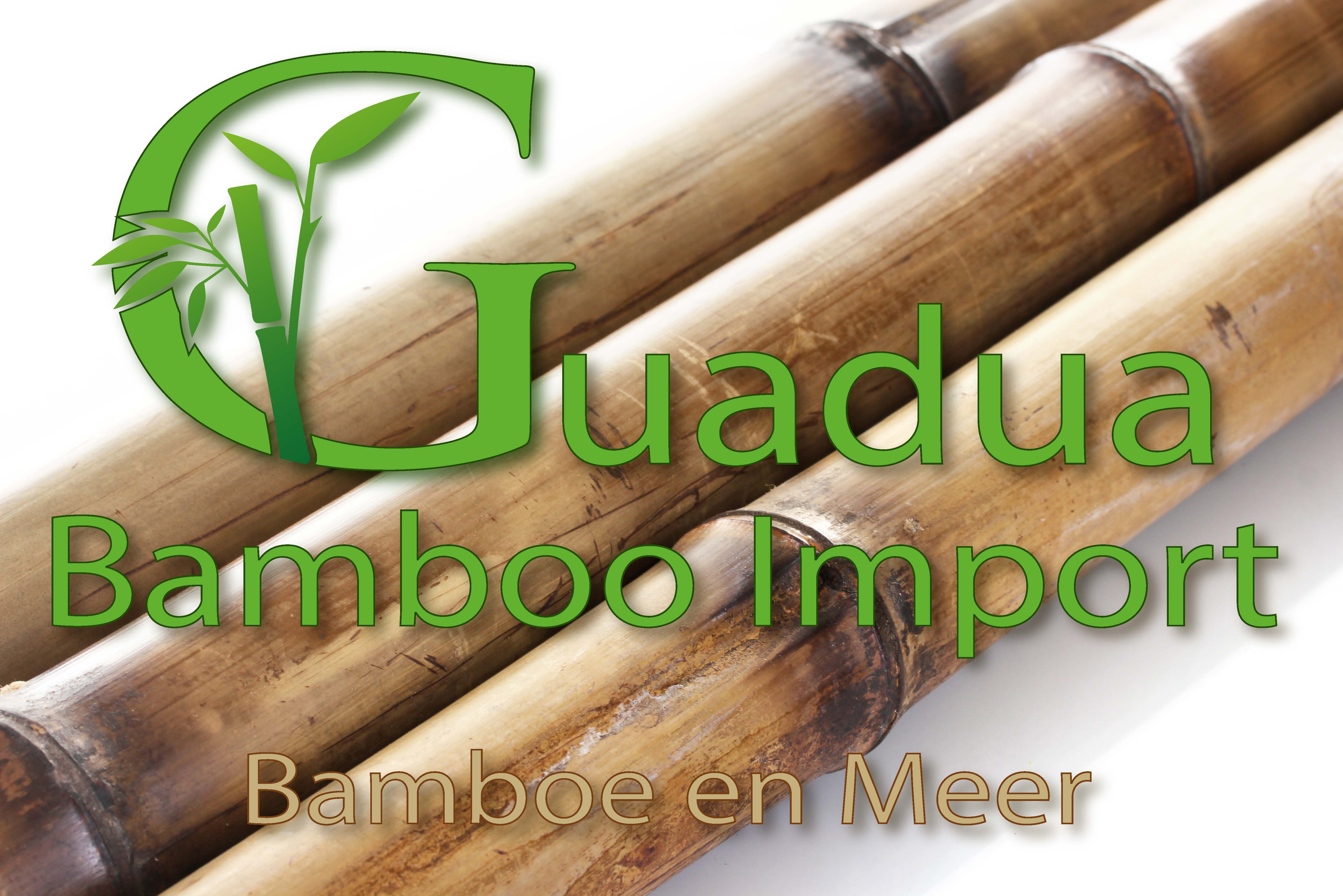 Guadua Bamboo Import - Bamboe en Meer - Home